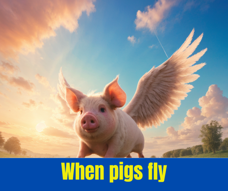 When pigs fly | getgo｜大人のための英会話教室｜西船橋・荻窪・津田沼